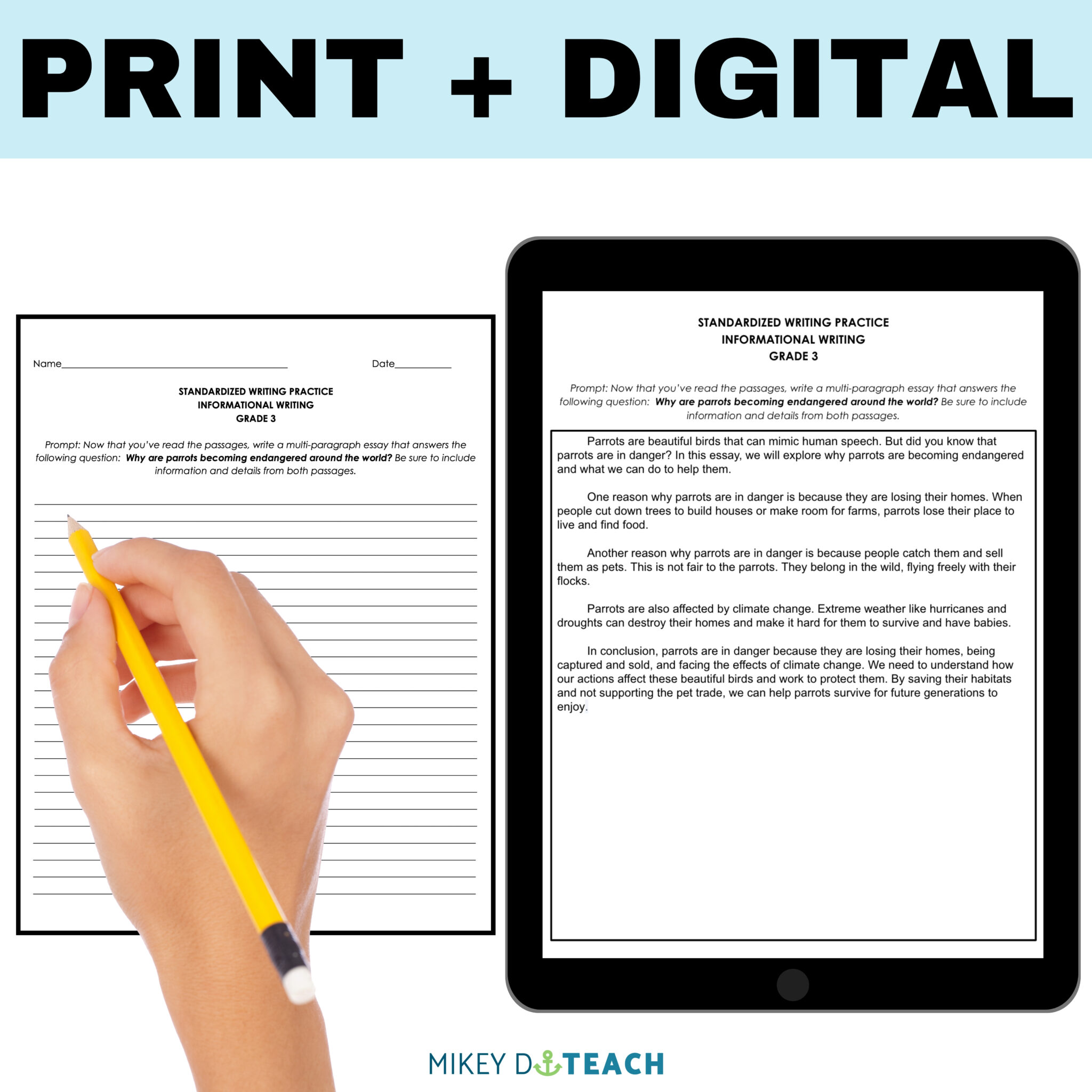 ELA Test Prep Packet - Grade 3 Informational Writing - Expository ...
